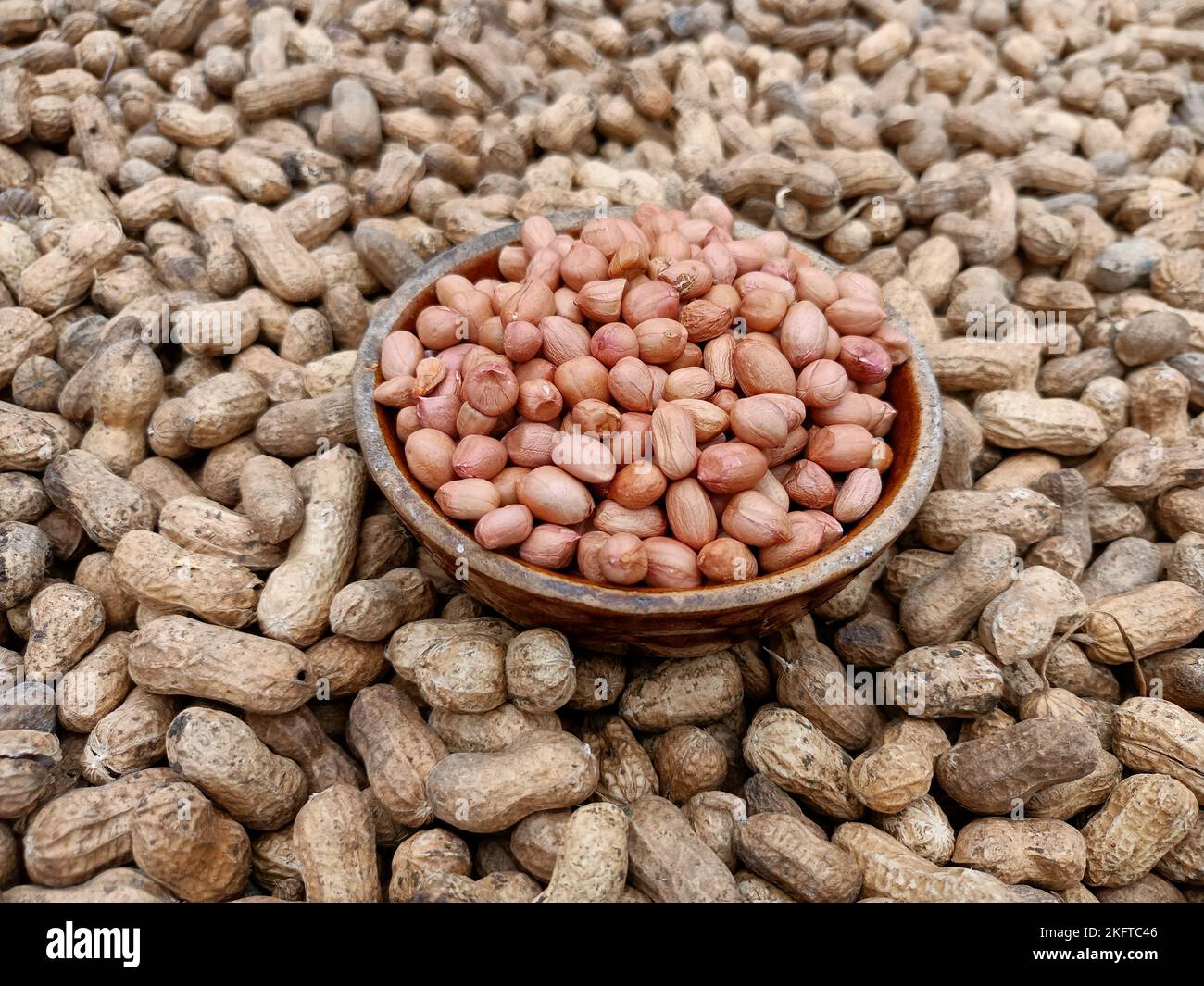 Peanut, groundnut, monkey nut, nut, golden brown colour seeds pods ...