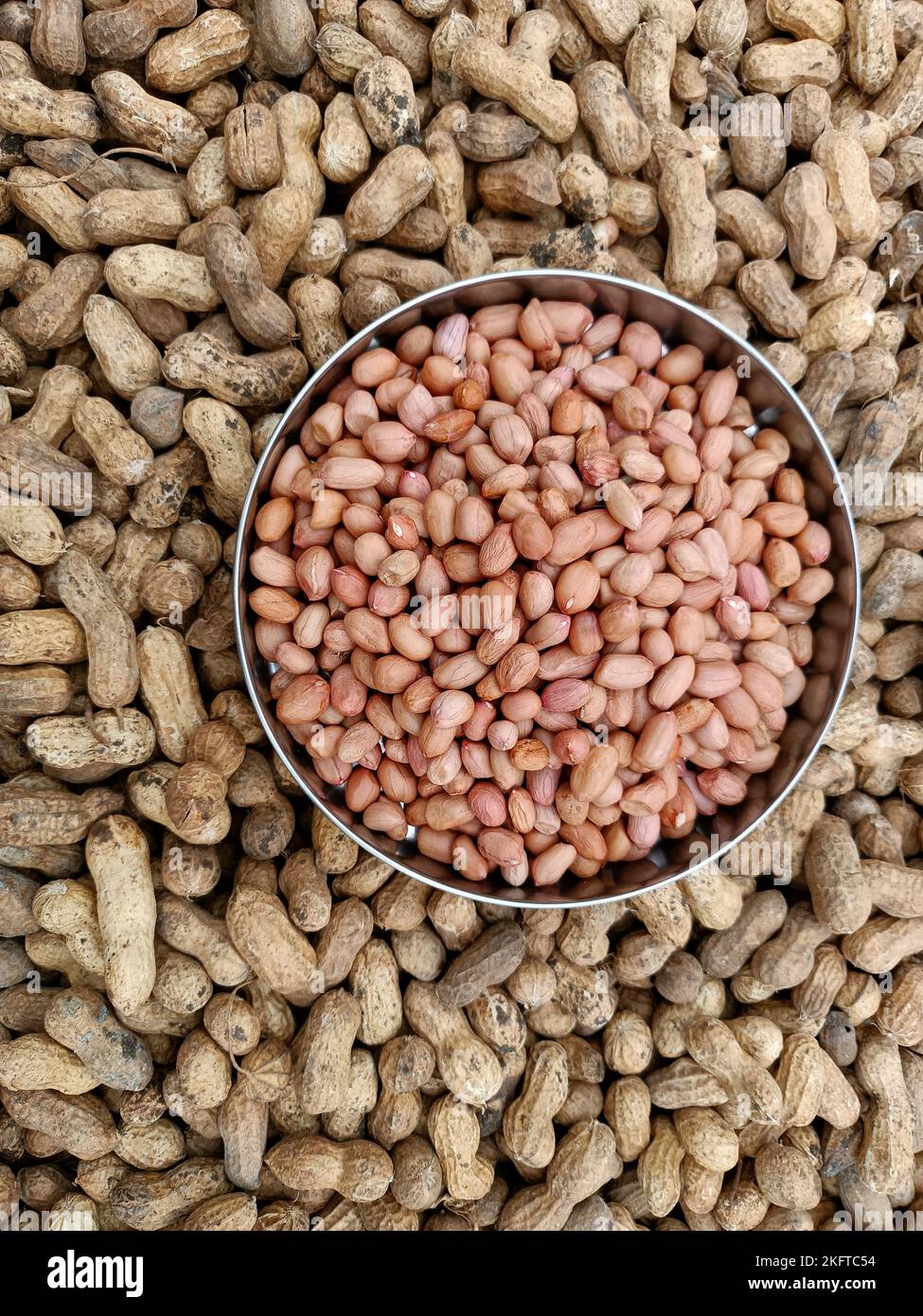 Peanut, groundnut, monkey nut, nut, golden brown colour seeds pods ...