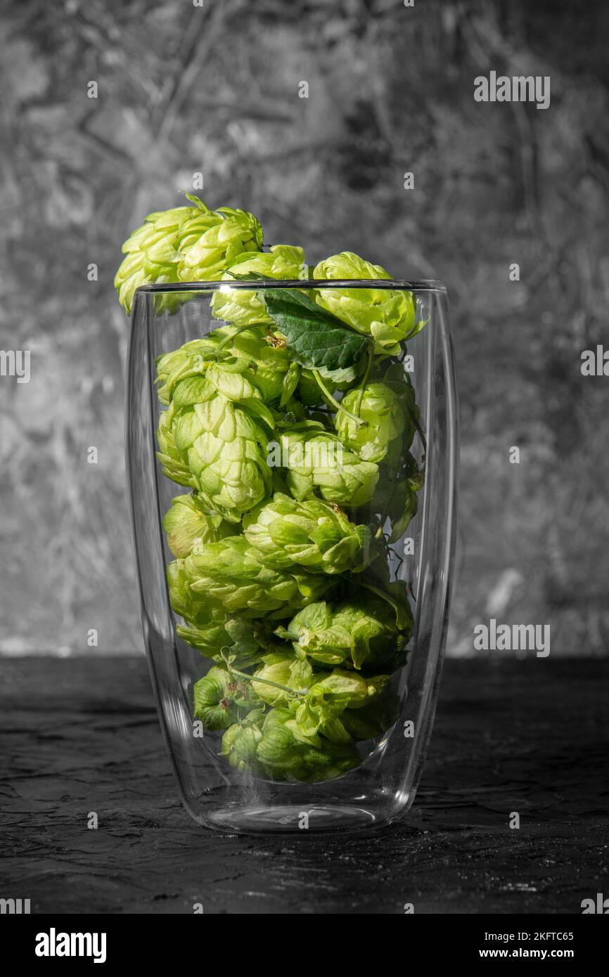 Hops growing vertically hi-res stock photography and images - Alamy
