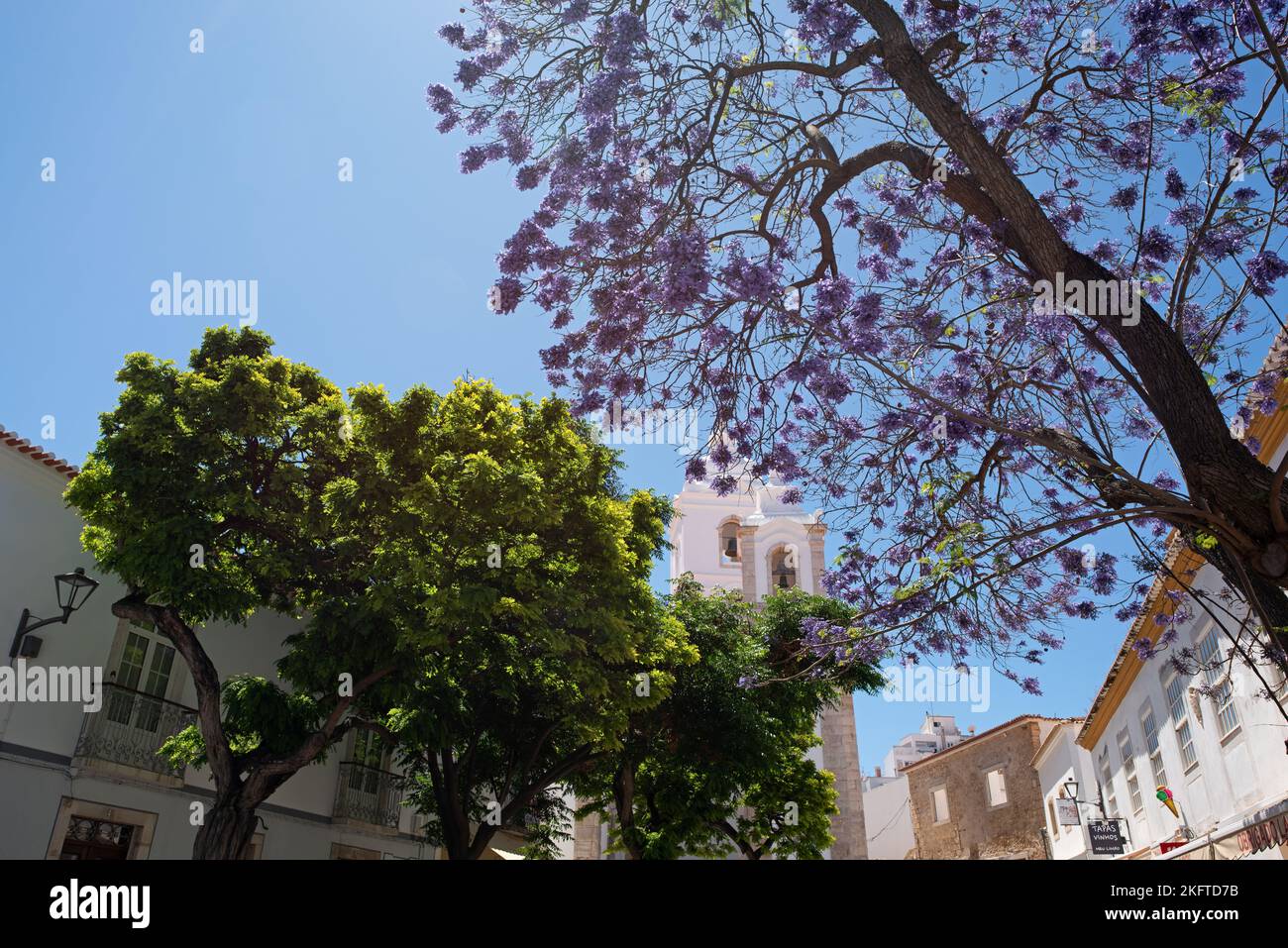 Lagos Lilac trees and Museum the Algarve coast Stock Photo - Alamy