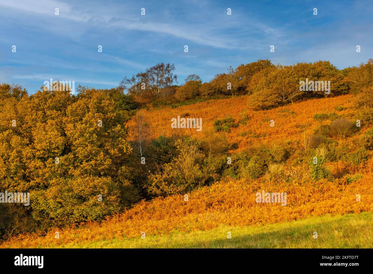 Colourful Autumn View of Torrington Commons. Scene from Reeds Field ...
