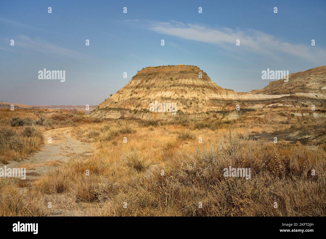 Path through the golden autumn grasses leading to a rugged steep hill ...