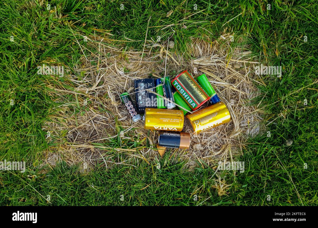 Image representing the pollution of nature with batteries and ...