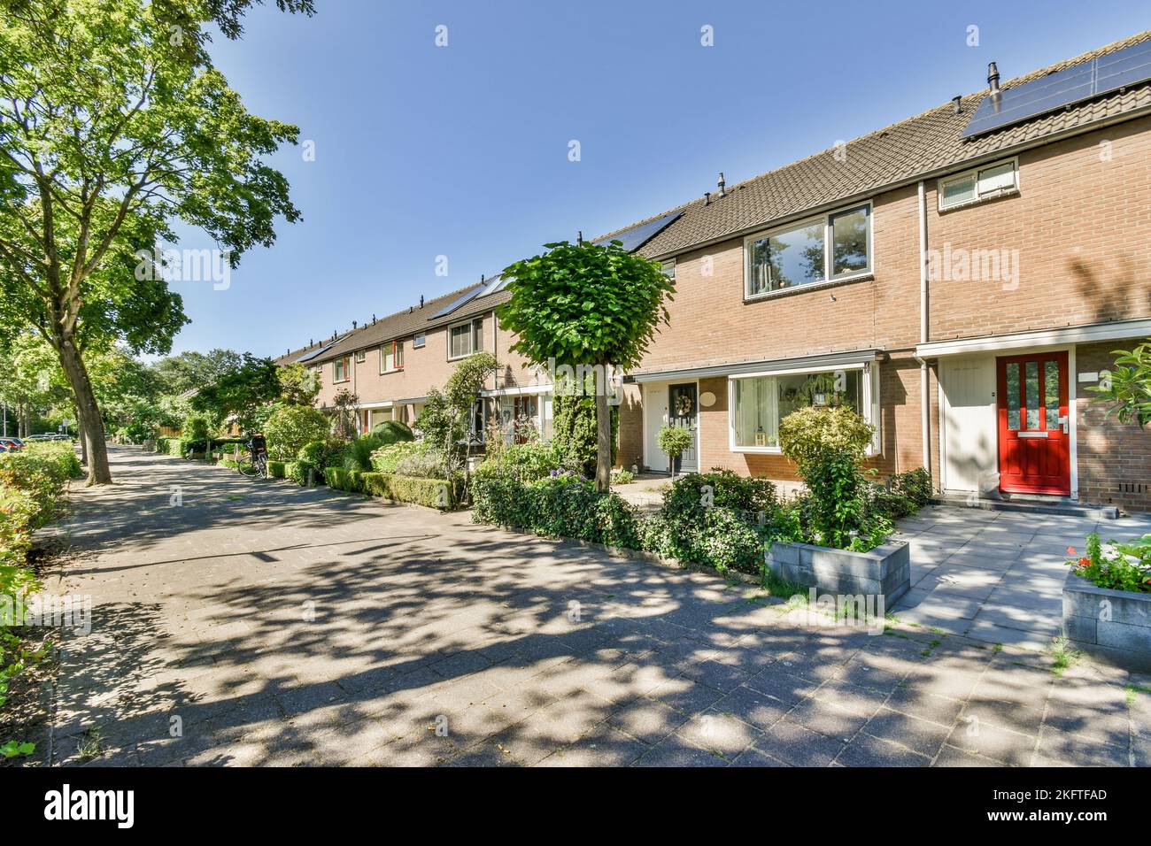 View of street near building with beauty of vegetation outside Stock ...
