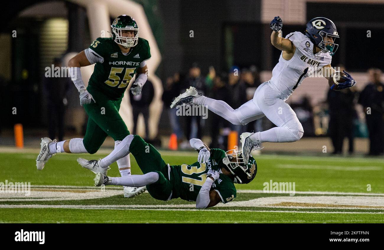 Hornet Stadium. 19th Nov, 2022. U.S.A. UC Davis wide receiver C.J ...
