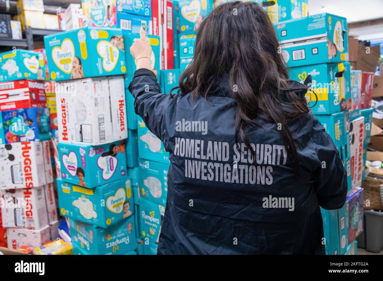 An agent from Homeland Security Investigations (HSI) counts stolen ...