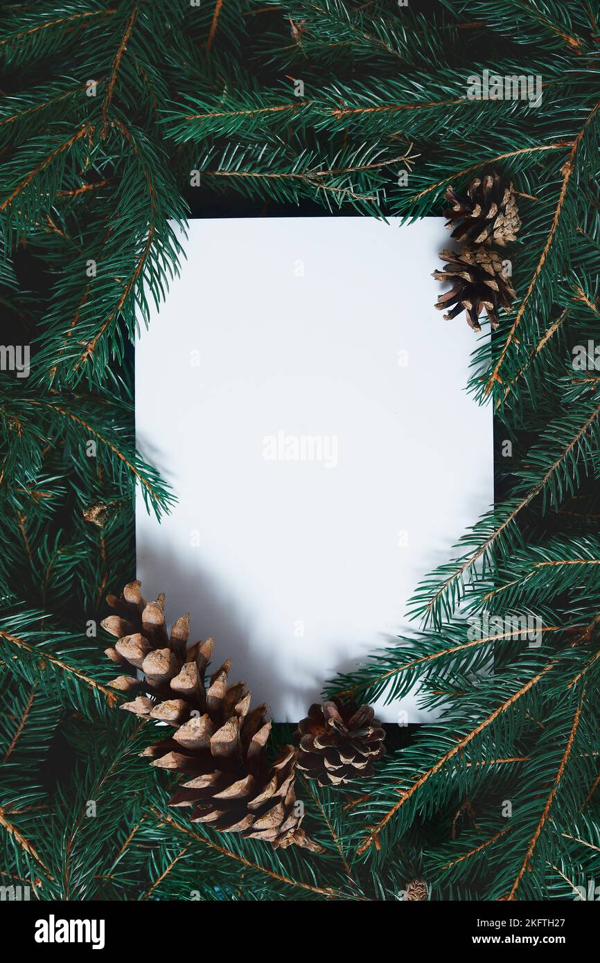 Creative layout made of Christmas tree branches with paper card note ...