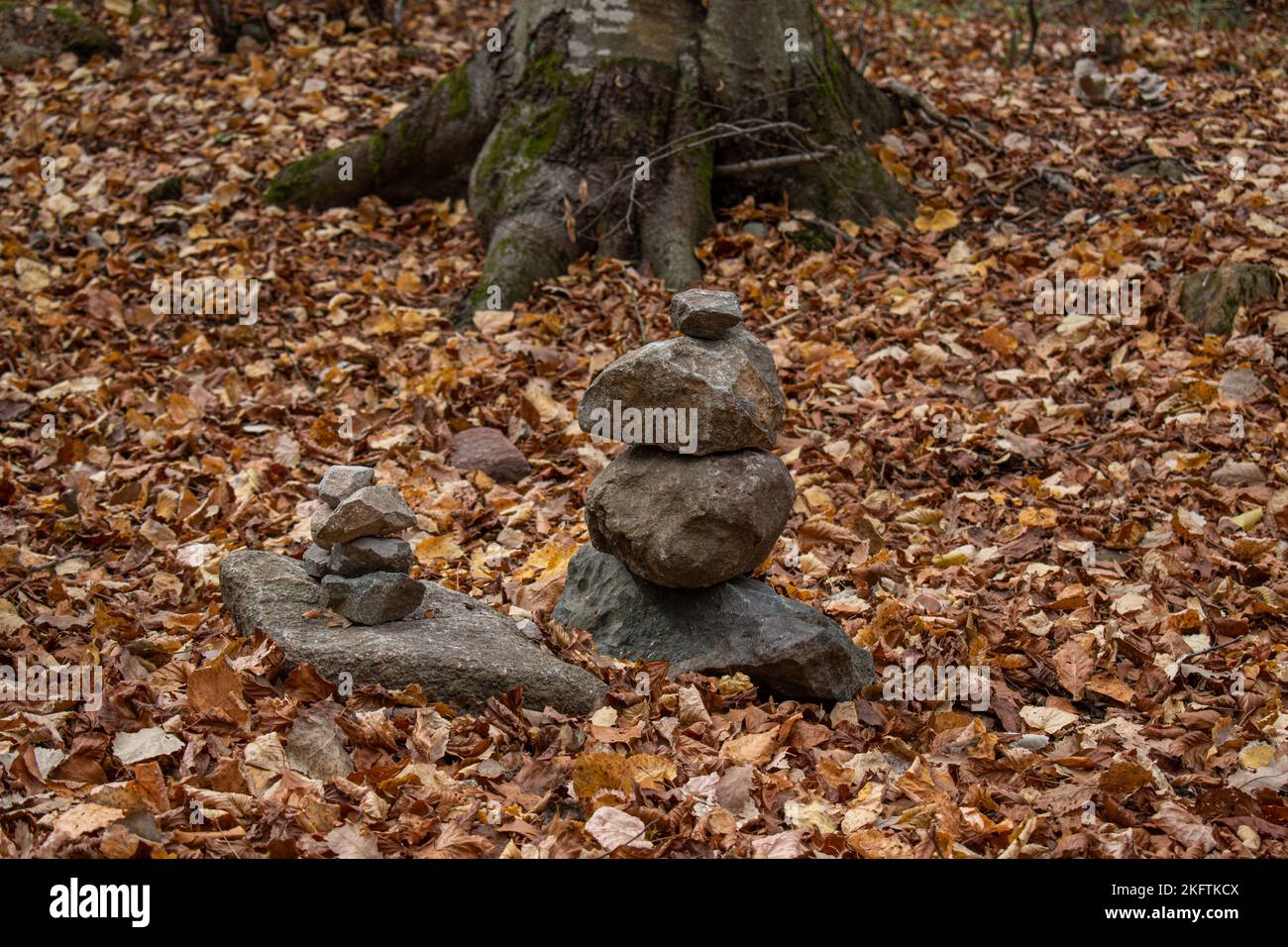 Interesting pile of rocks in the woods Stock Photo - Alamy