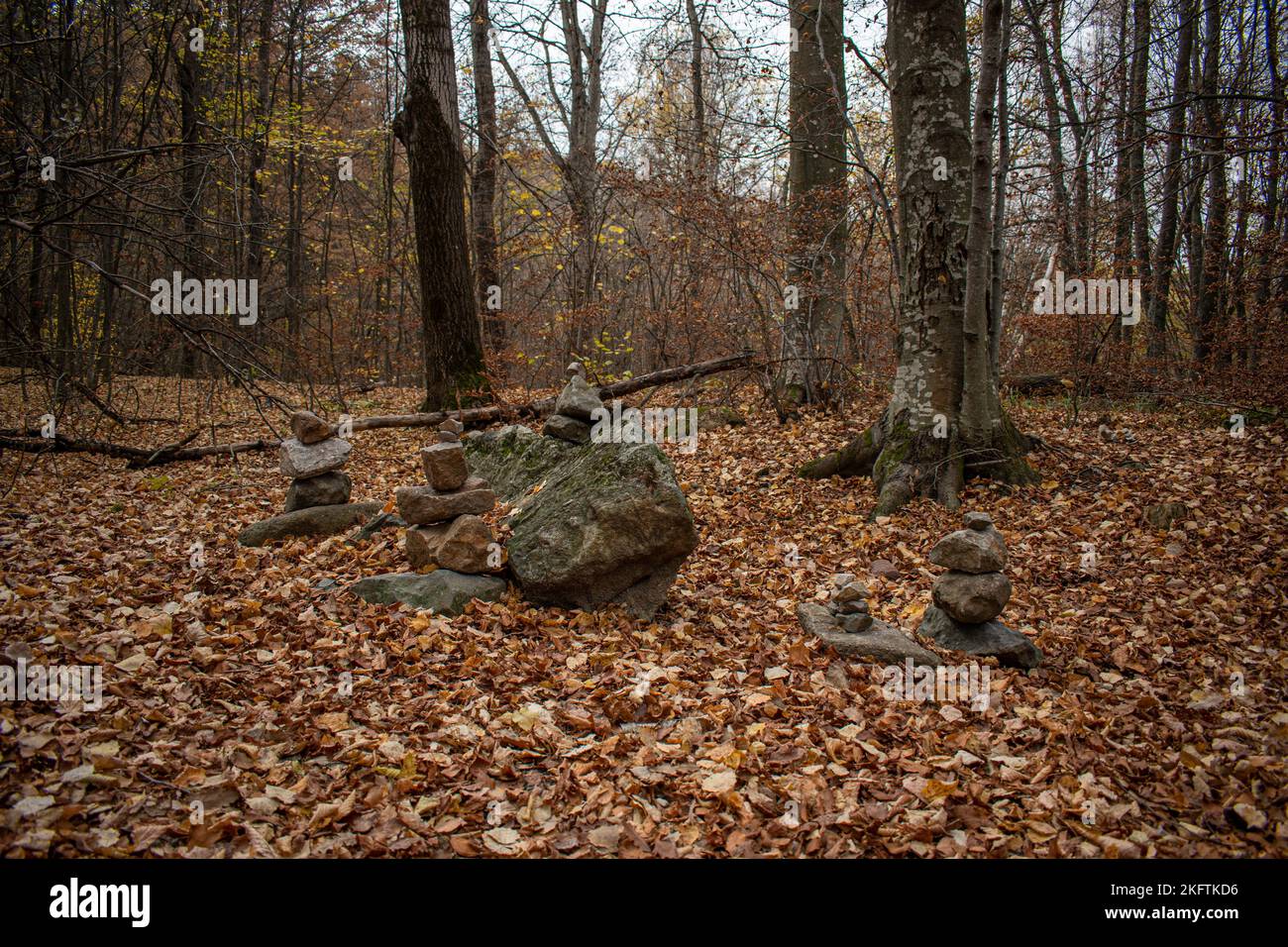 Strange rocks in the middle of the forest Stock Photo - Alamy