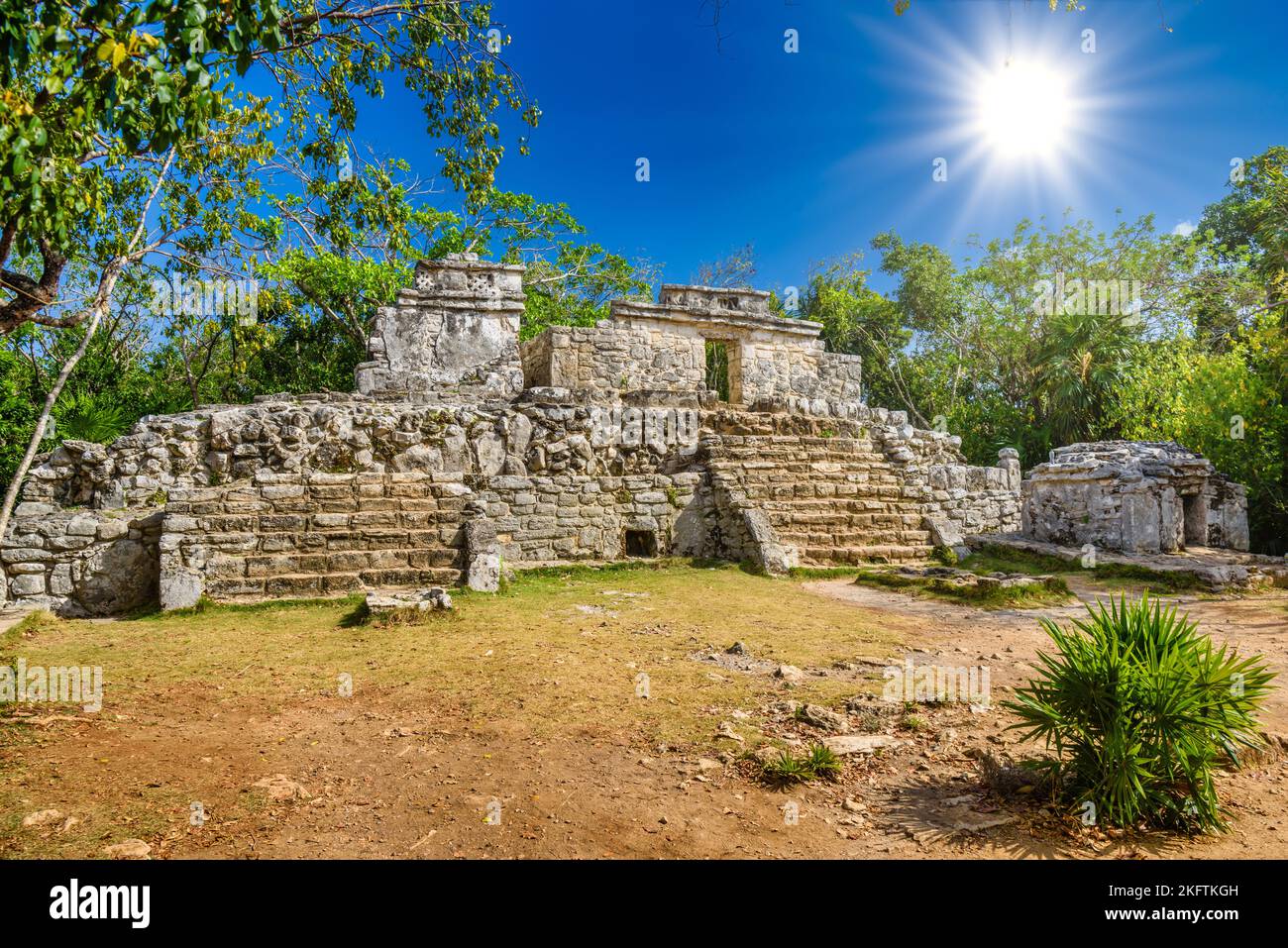 Mayan ruins in shadow of trees in jungle tropical forest Playa del ...