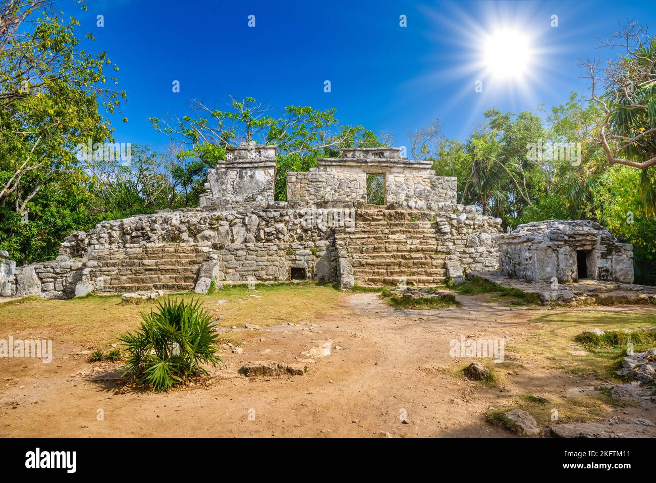 Mayan ruins in shadow of trees in jungle tropical forest Playa del ...