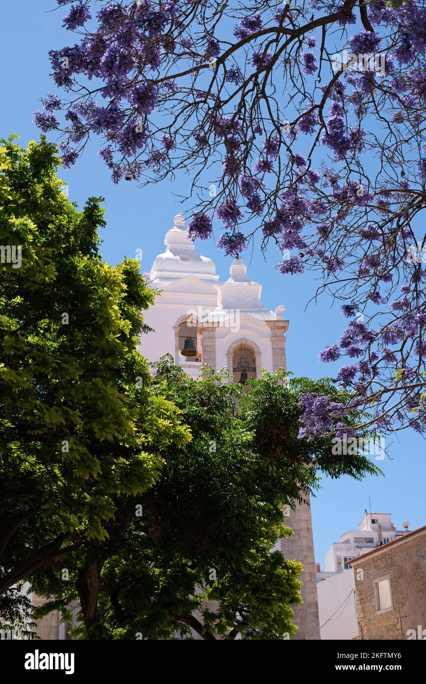 Lagos Lilac trees and Museum the Algarve coast Stock Photo - Alamy