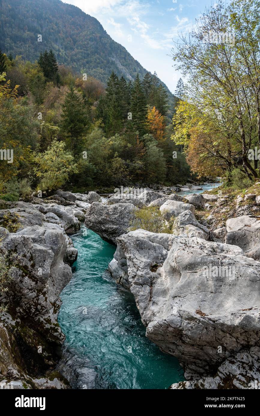 The Soca river flowing through a wild mountain landscape of the Julian ...