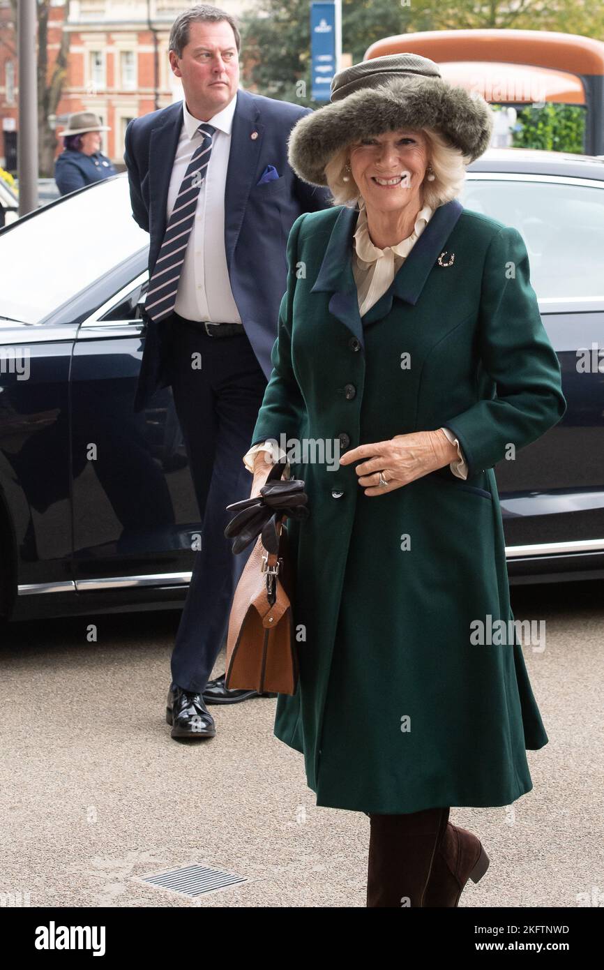Ascot, Berkshire, UK. 19th November, 2022. Camilla, Queen Consort ...