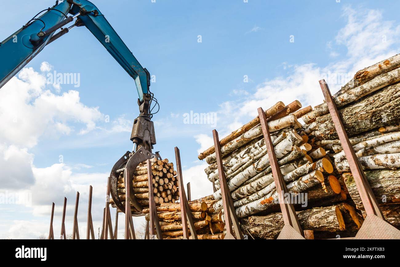 Log loader or forestry machine loads a log truck Stock Photo - Alamy