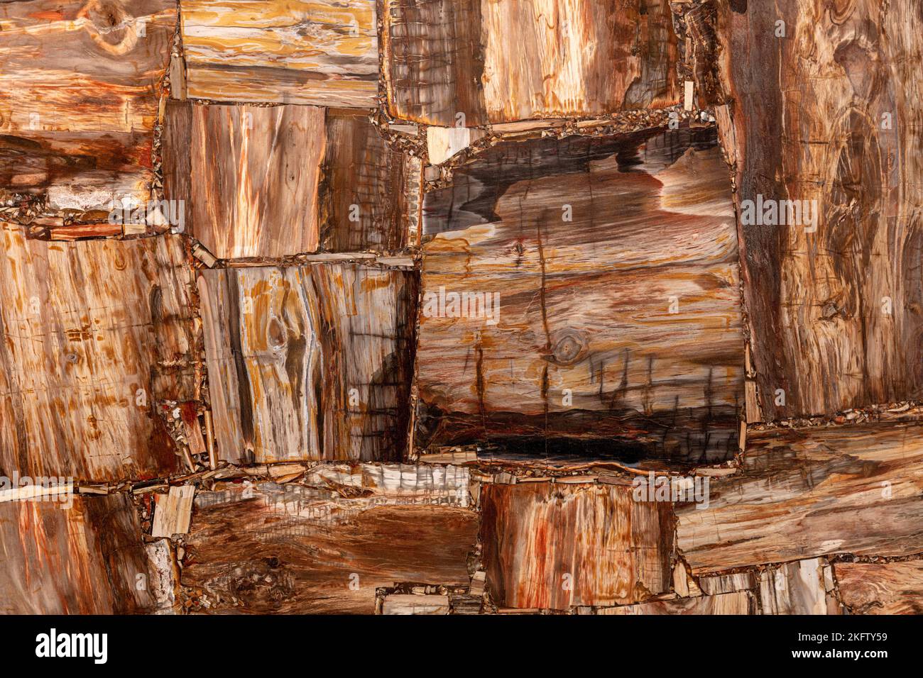 Petrified wood texture. Semi precious matt pattern. Exclusive luxury ...