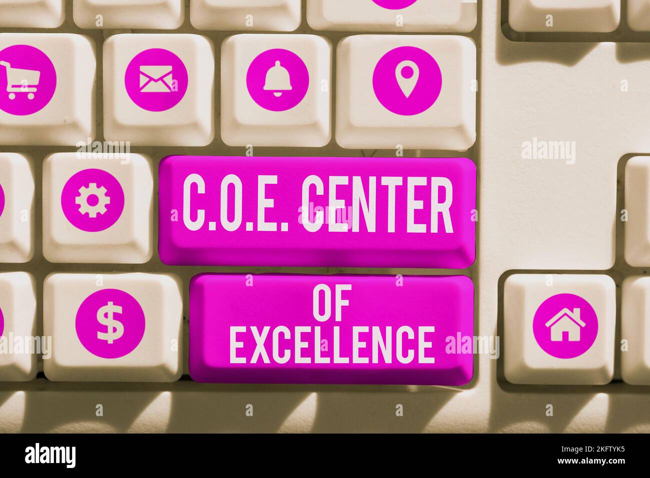 Text sign showing C.O.E. Center Of Excellence. Business approach being ...