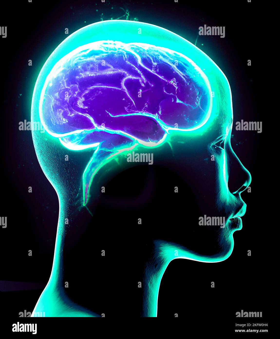 Neuron schema hi-res stock photography and images - Alamy