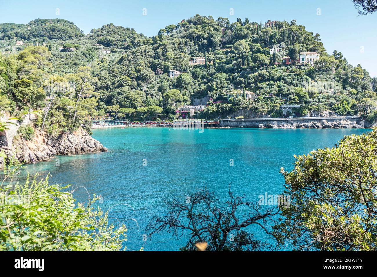 The bay of Paraggi in Portofino with green and transparent water Stock ...