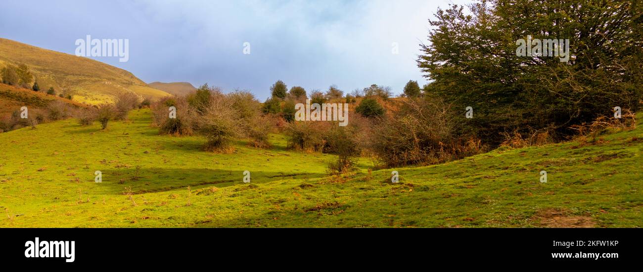 Otoño en la selva de Irati, sendero de Anbulolatz, Pirineo navarro ...