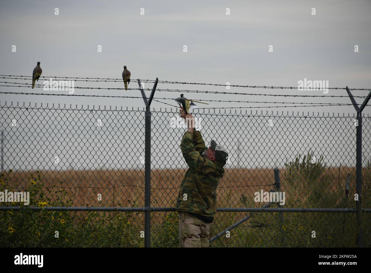 Greg Goskey places a decoy on a fence during a dove hunt at Altus Air ...