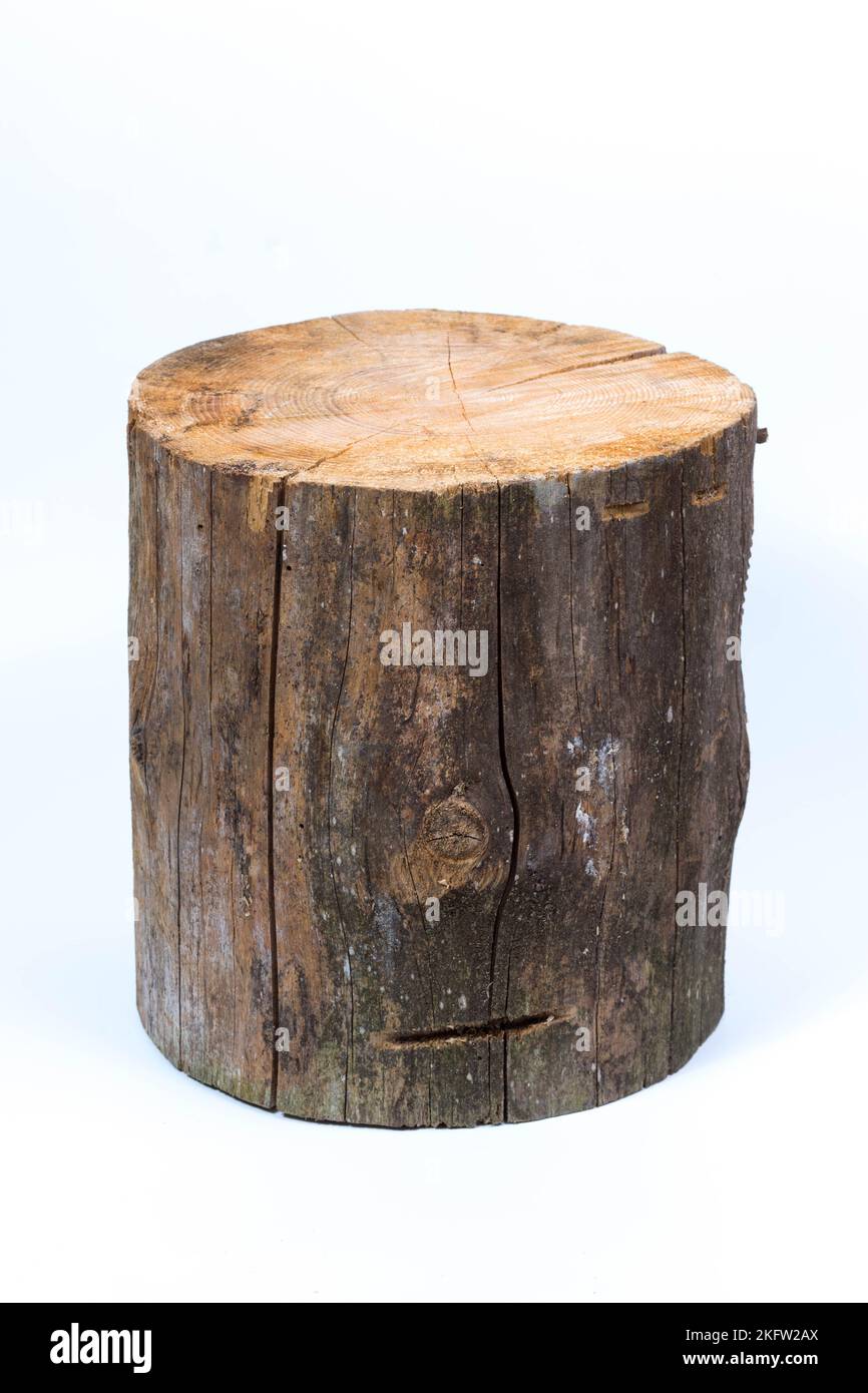 Wood stump log isolated on a white background Stock Photo - Alamy