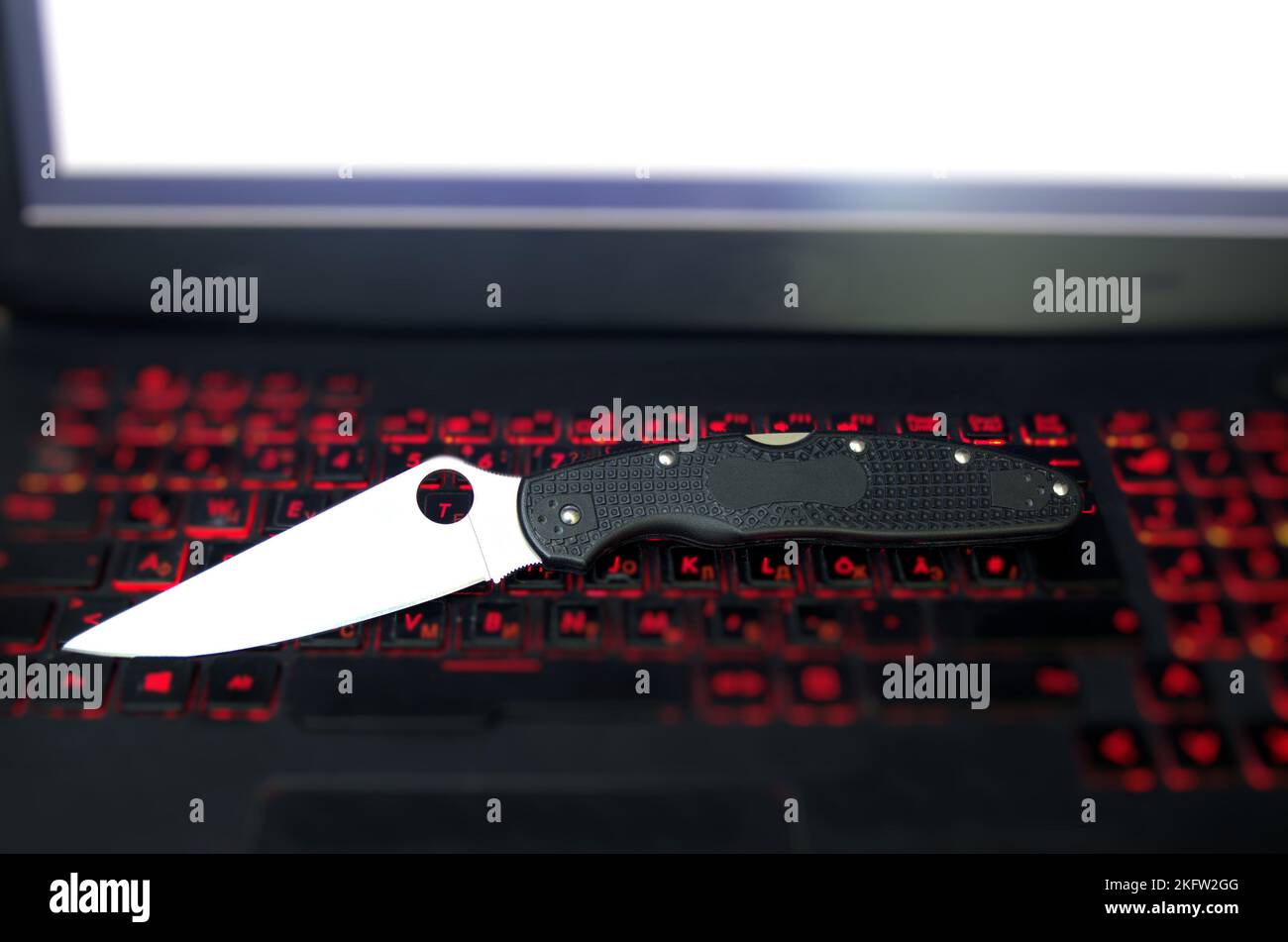 Folding knife beautiful rare design cutting silver edge black handle ...