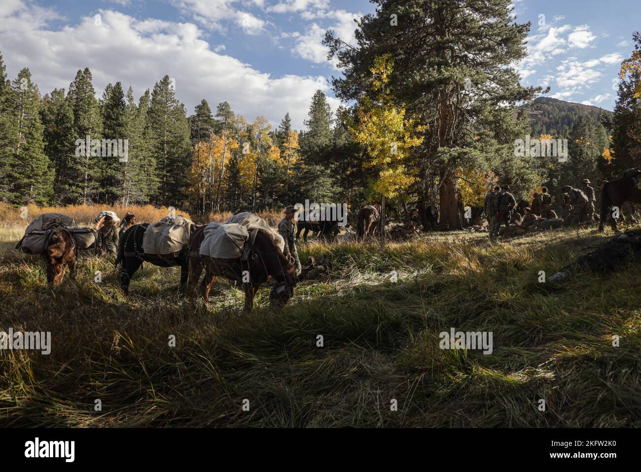 U.S. Marines with 8th Engineer Support Battalion, Combat Logistics ...