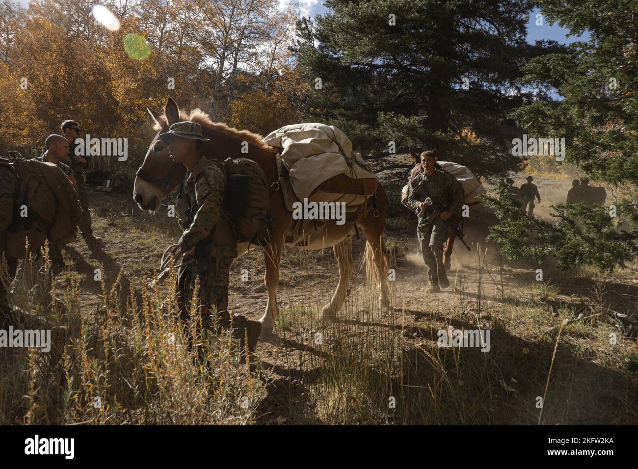 U.S. Marines with 8th Engineer Support Battalion, Combat Logistics ...