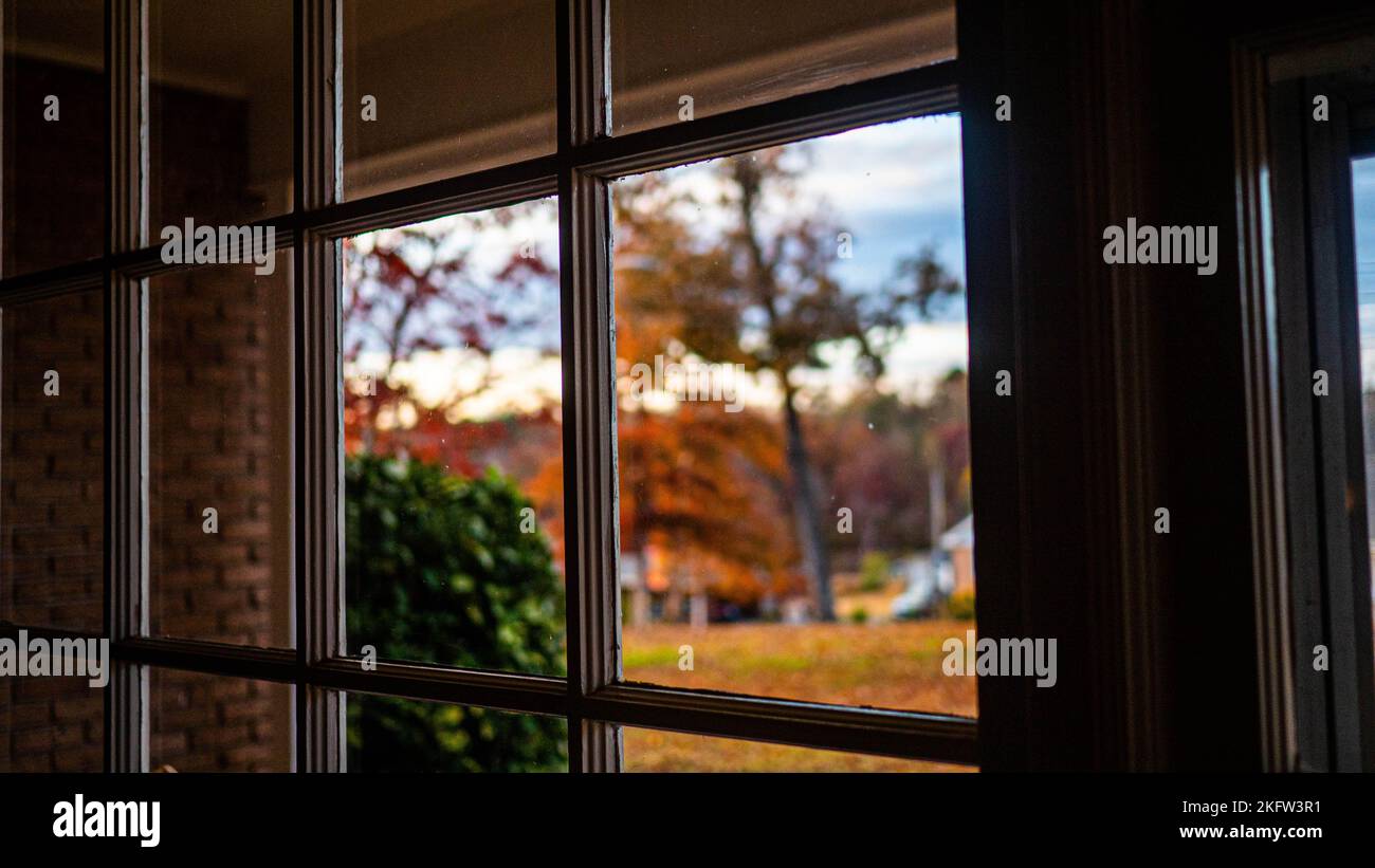 A transparent glass window inside the home with a view of autumn trees ...