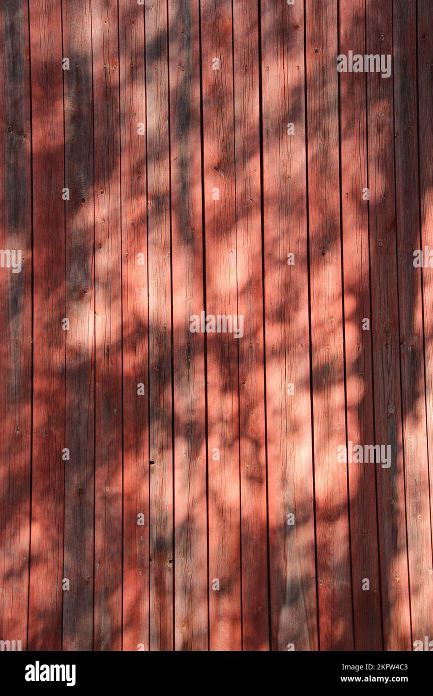 Old red wooden wall in sunlight with shadows from trees Stock Photo - Alamy