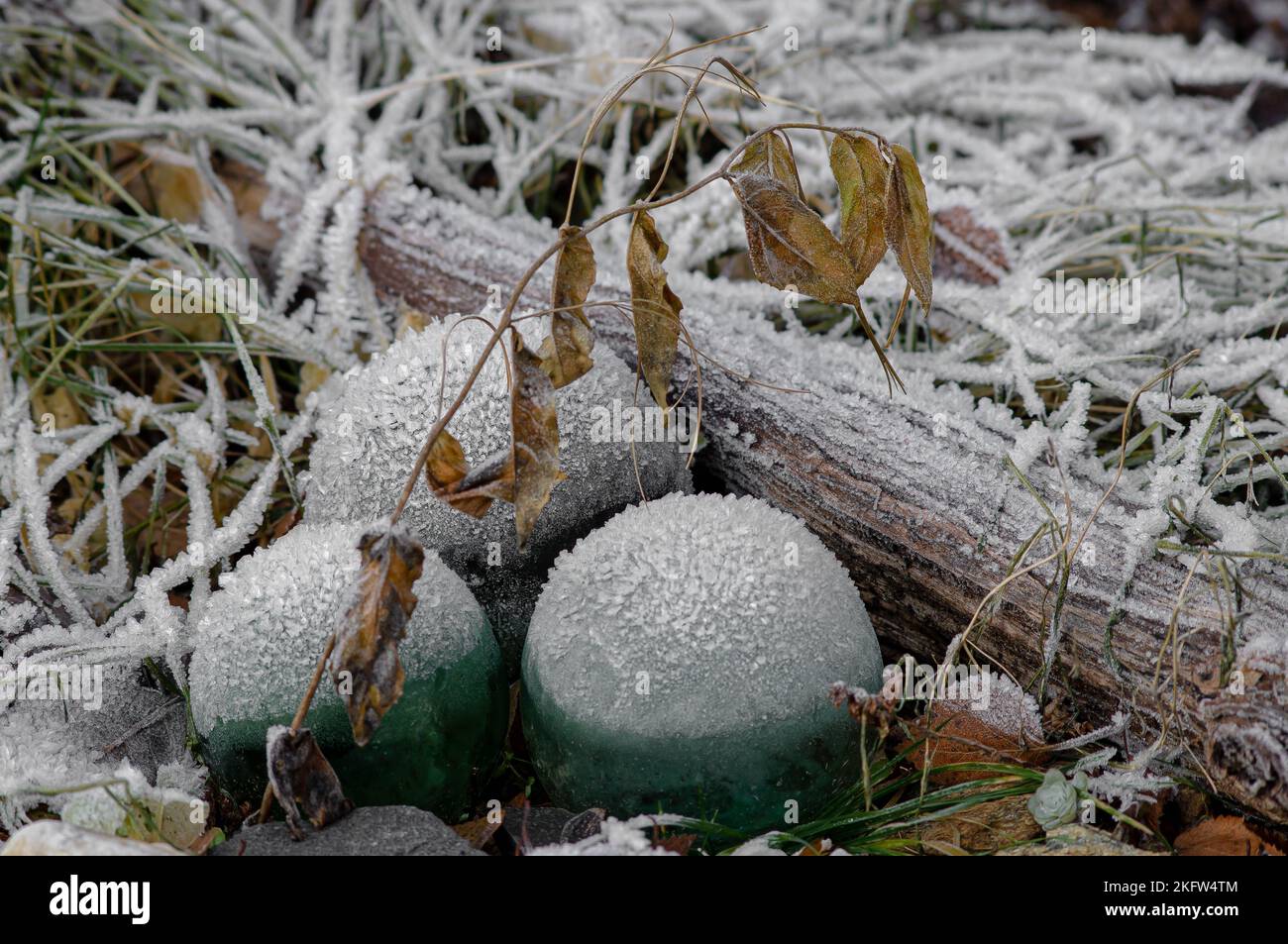 Frozen balls hi-res stock photography and images - Alamy