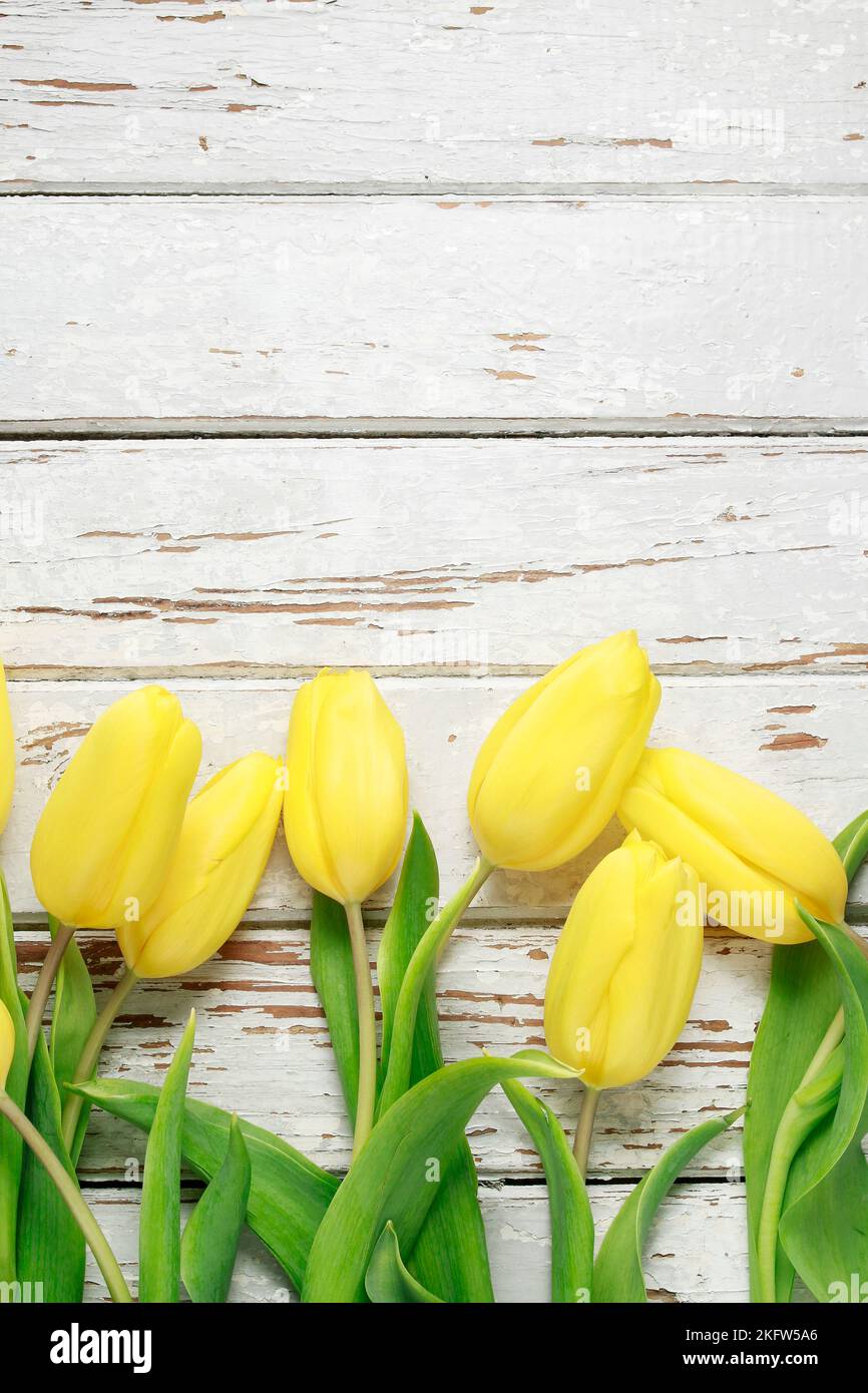 Beautiful yellow tulips on wooden background. Spring time Stock Photo ...