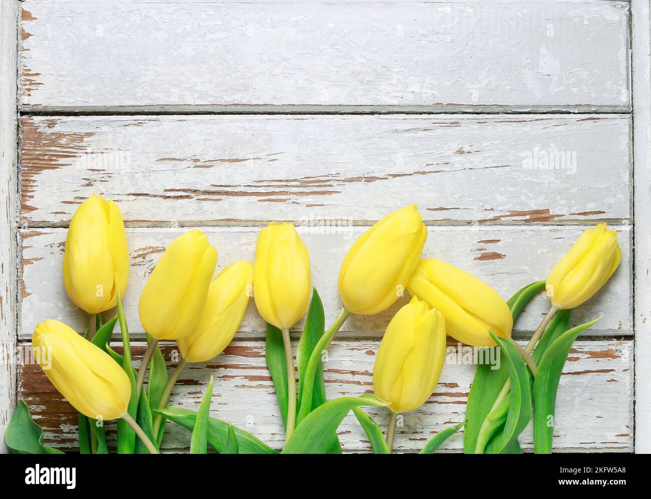 Beautiful yellow tulips on wooden background. Spring time Stock Photo ...