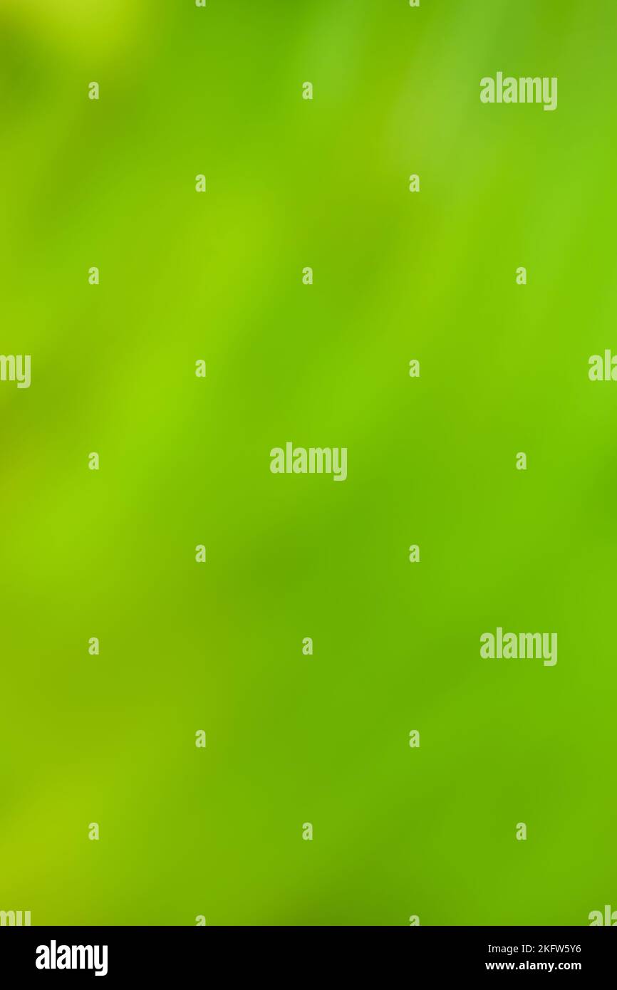 Green haze bokeh backdrop. Green olive color blurred motion out of ...