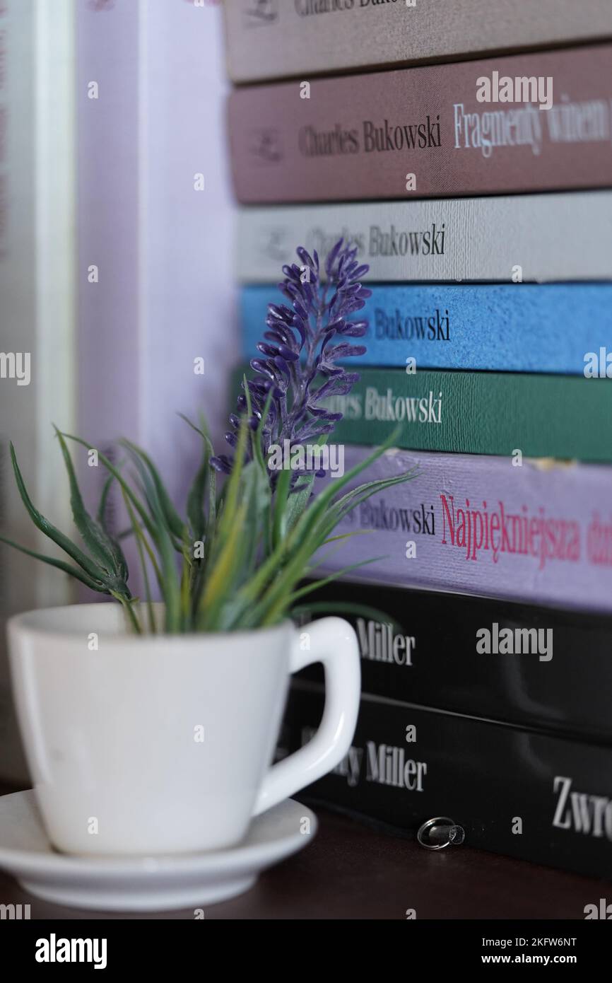 Pile of colourfull books of Charles Bukowsky Stock Photo - Alamy