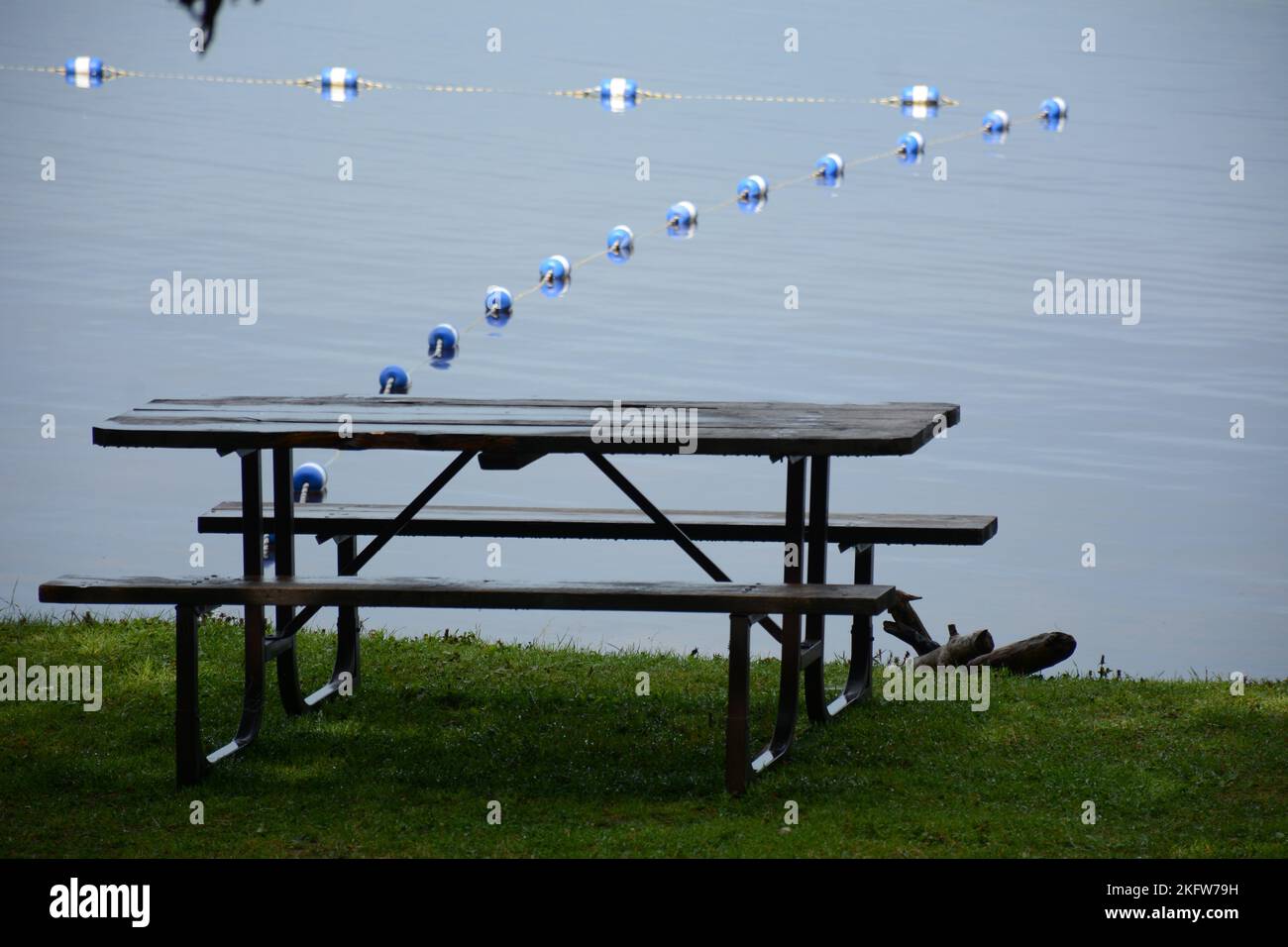 Wet shiy picnic table wiuth water and boutys in back Stock Photo - Alamy