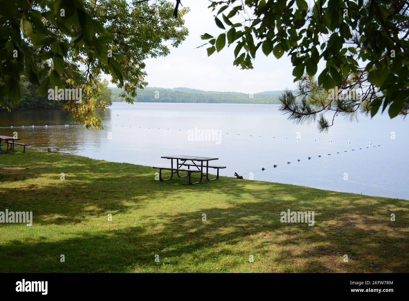 Wet shiy picnic table wiuth water and boutys in back Stock Photo - Alamy