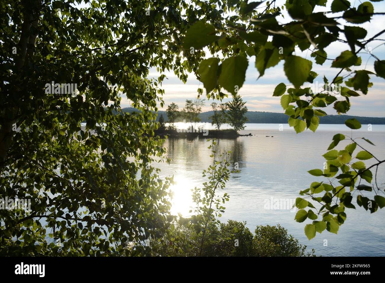 Wet shiy picnic table wiuth water and boutys in back Stock Photo - Alamy