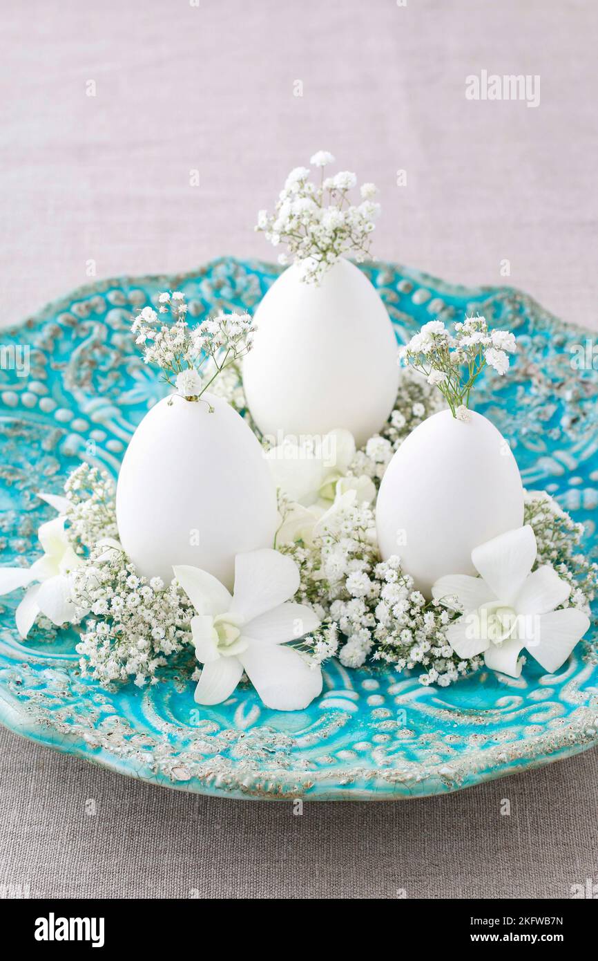 Easter floral decoration with goose egg, orchid flowers and gypsophila ...
