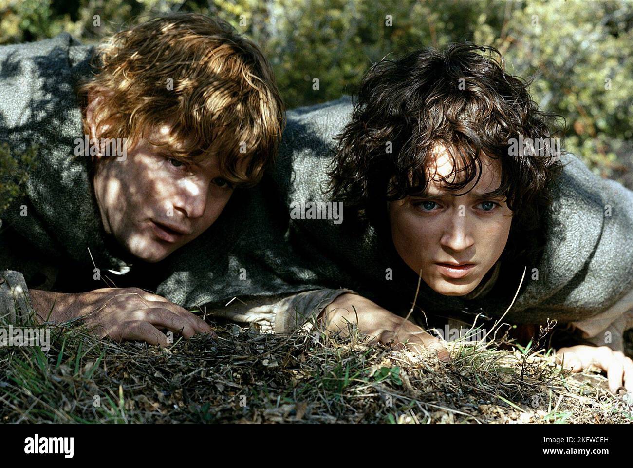 Frodo And Sam