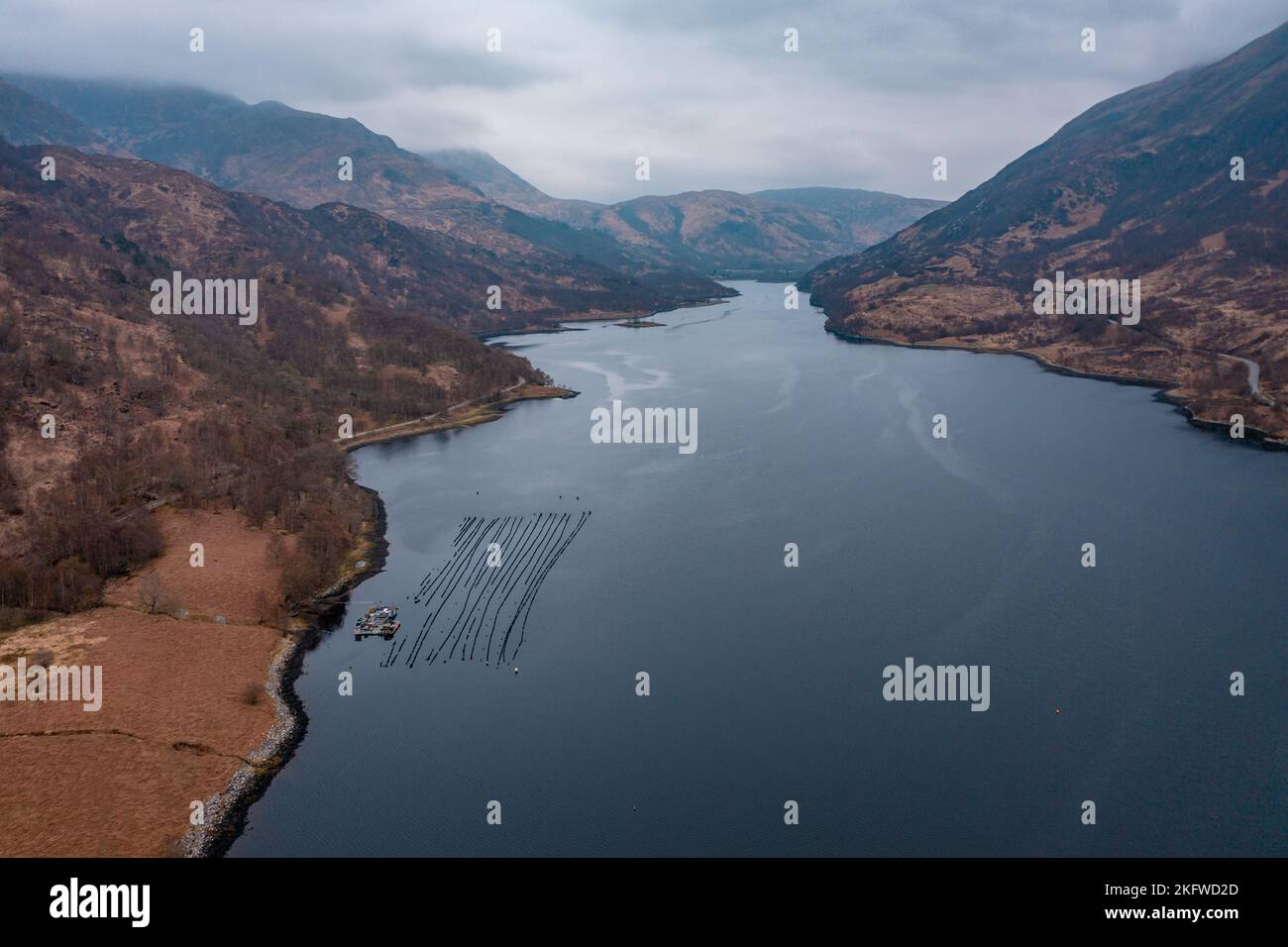 Aquaculture Seafood and Shellfish Farm in Scotland Stock Photo - Alamy