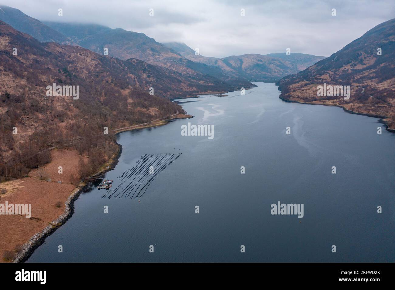 Aquaculture Seafood and Shellfish Farm in Scotland Stock Photo - Alamy