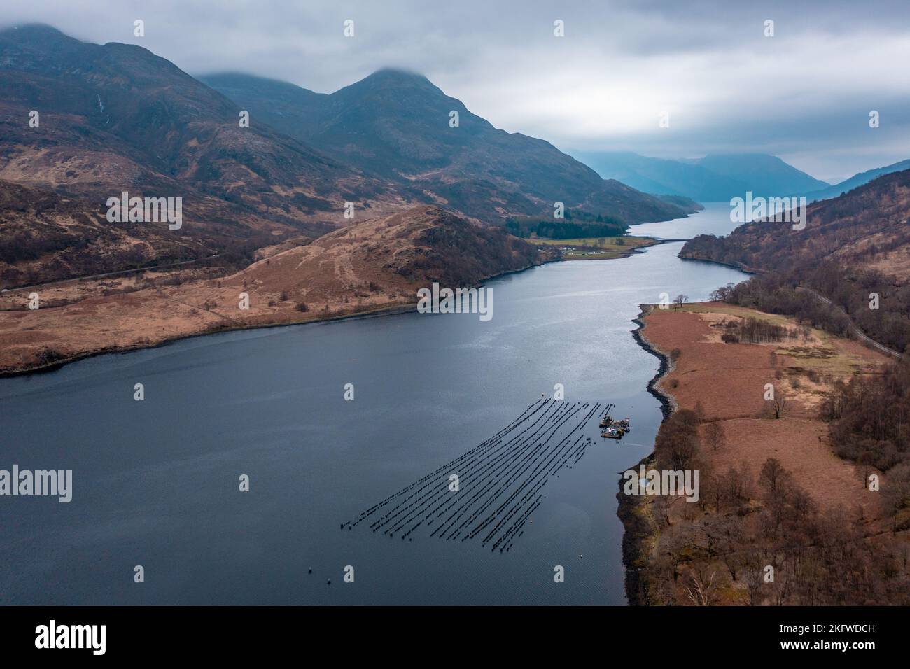 Aquaculture Seafood and Shellfish Farm in Scotland Stock Photo - Alamy