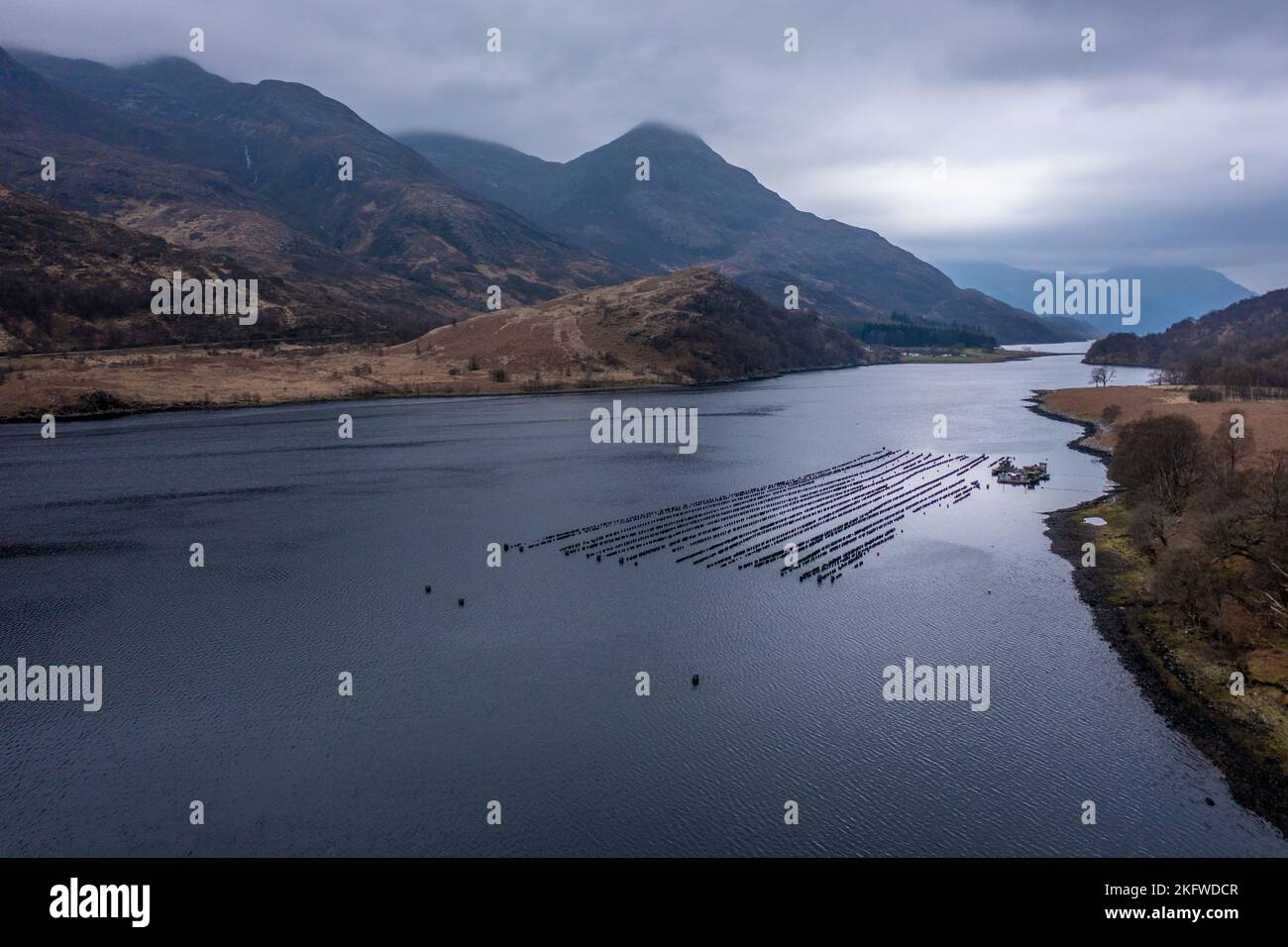 Aquaculture Seafood and Shellfish Farm in Scotland Stock Photo - Alamy
