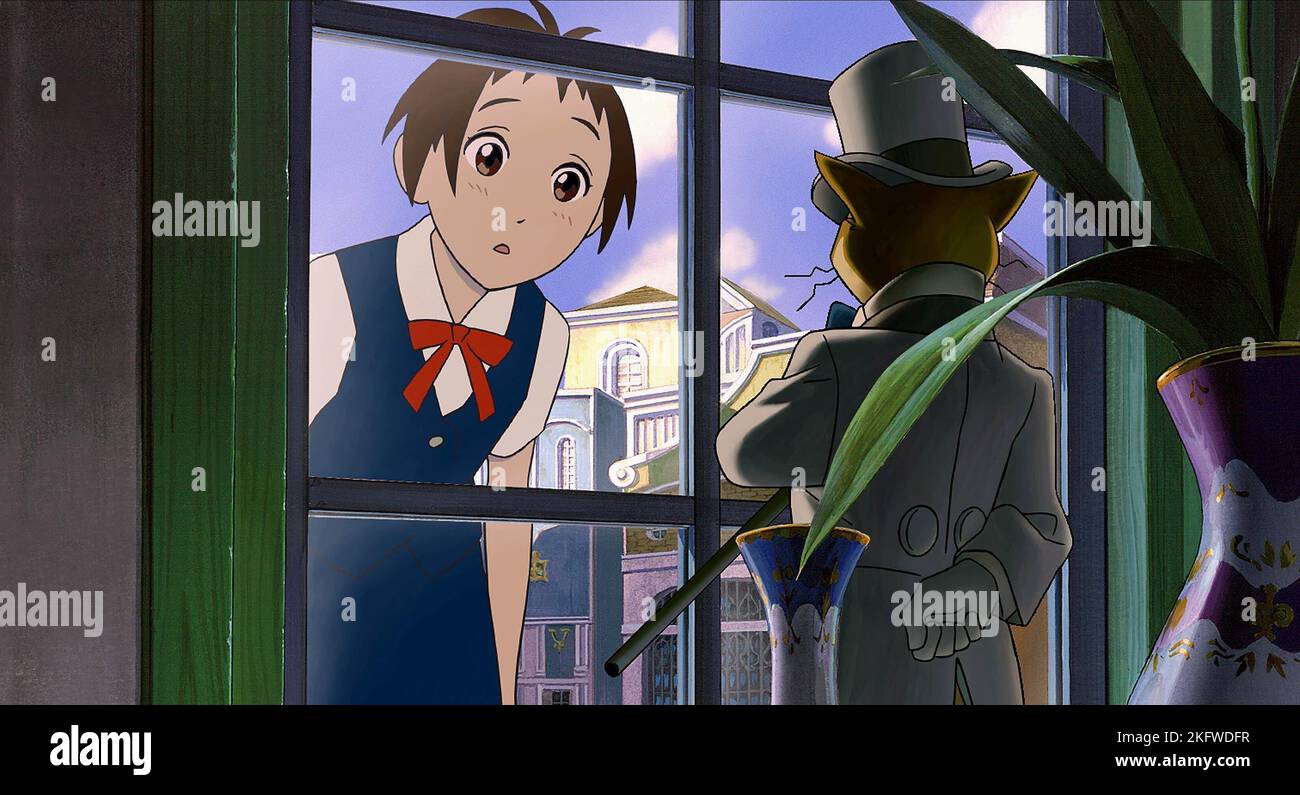 Baron cat hi-res stock photography and images - Alamy