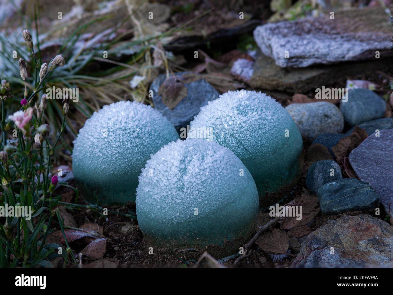 Frozen balls hi-res stock photography and images - Alamy