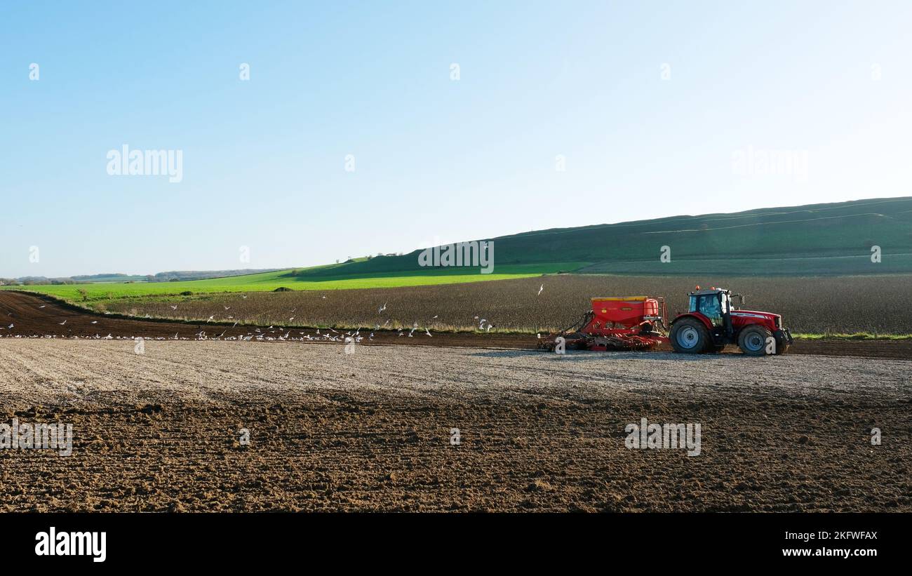 Autumn ploughing with the tractor followed by feeding birds - John ...