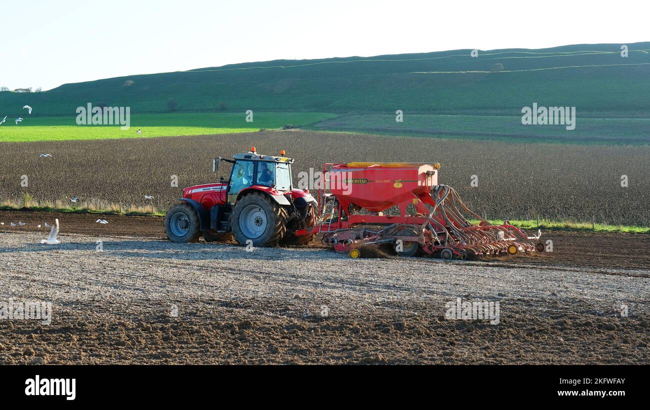 Autumn ploughing with the tractor followed by feeding birds - John ...