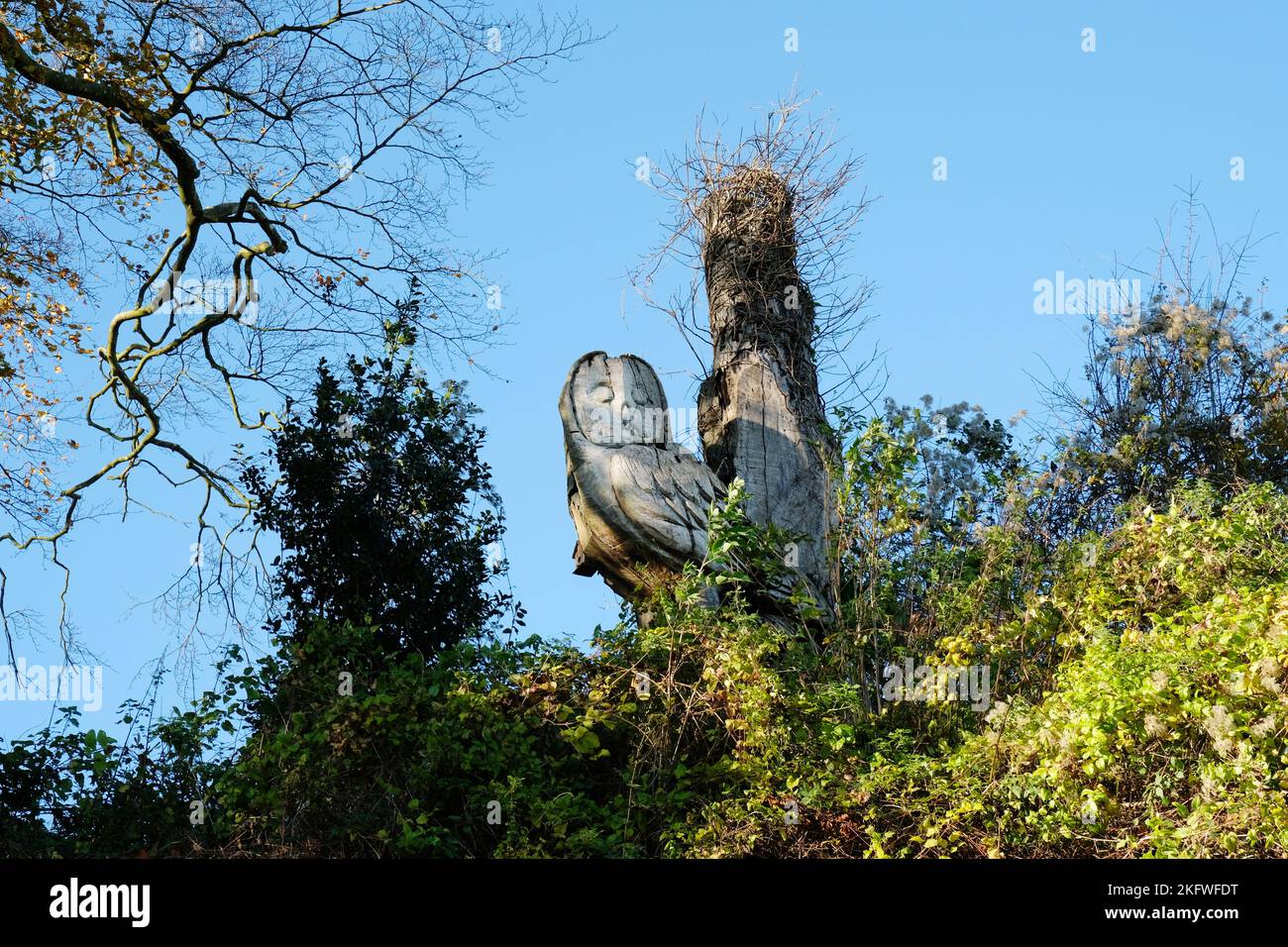 Large carved wooden owl - John Gollop Stock Photo - Alamy